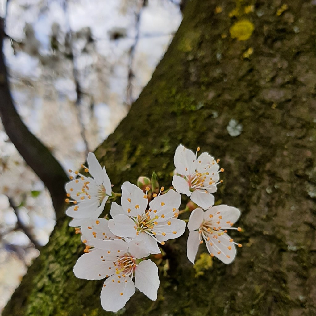 Become more mindful – Jane Regina Sauer