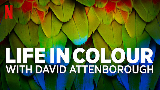 Documentary – Life in colour – Jane Regina Sauer
